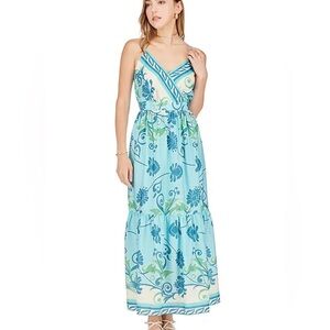 Joy Joy | Dresses | Joy Joy Maxi Blue Oasis Monkees Of The Village ...